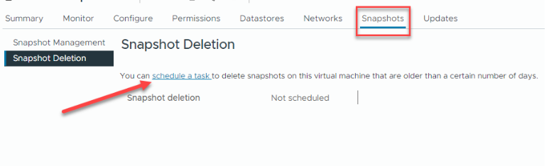 vSphere 8.0 Update 3 Scheduled Snapshots Delete – Murat Delibal
